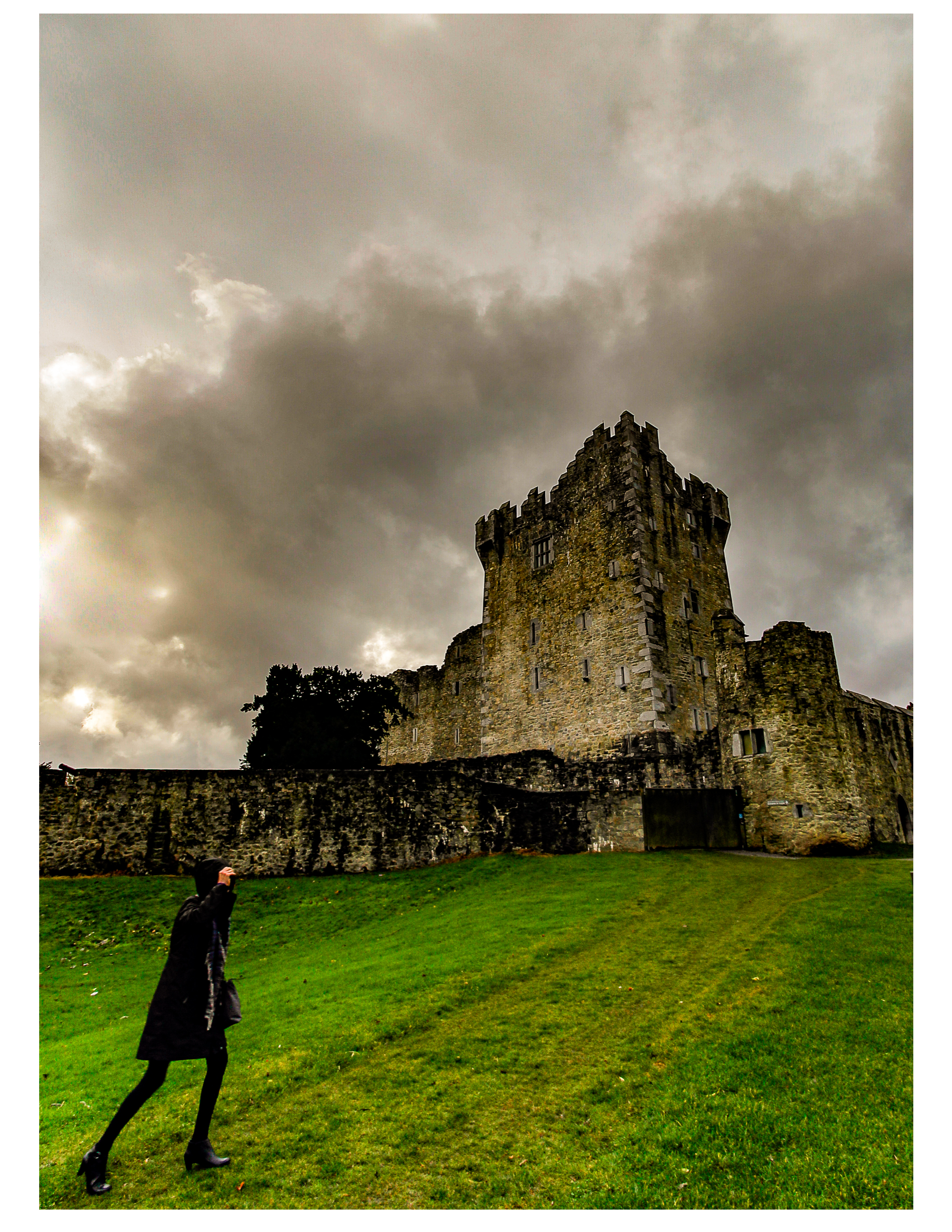 Dark Lady | Shutterbug